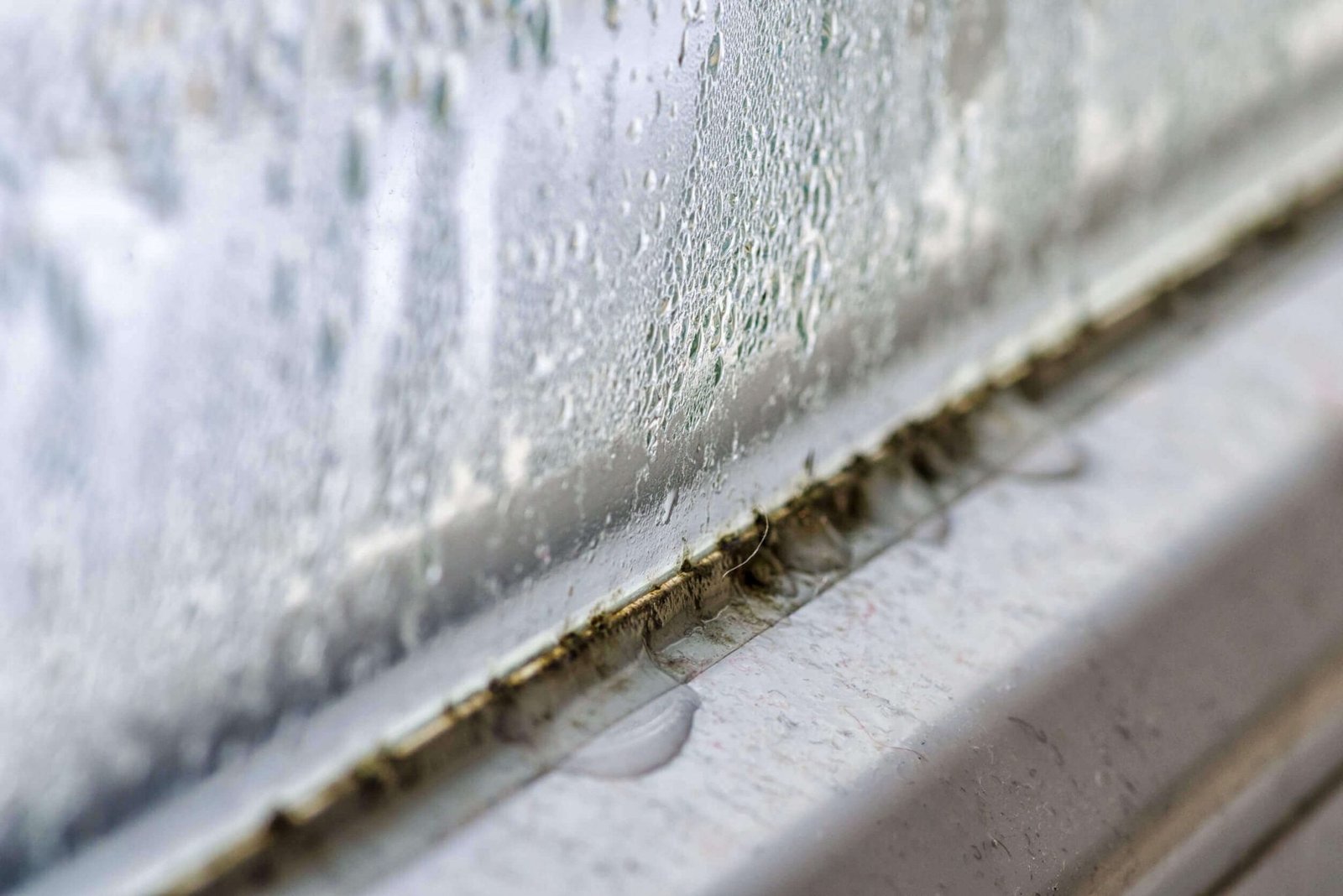 How to stop condensation on windows | Safe and Sound Guide